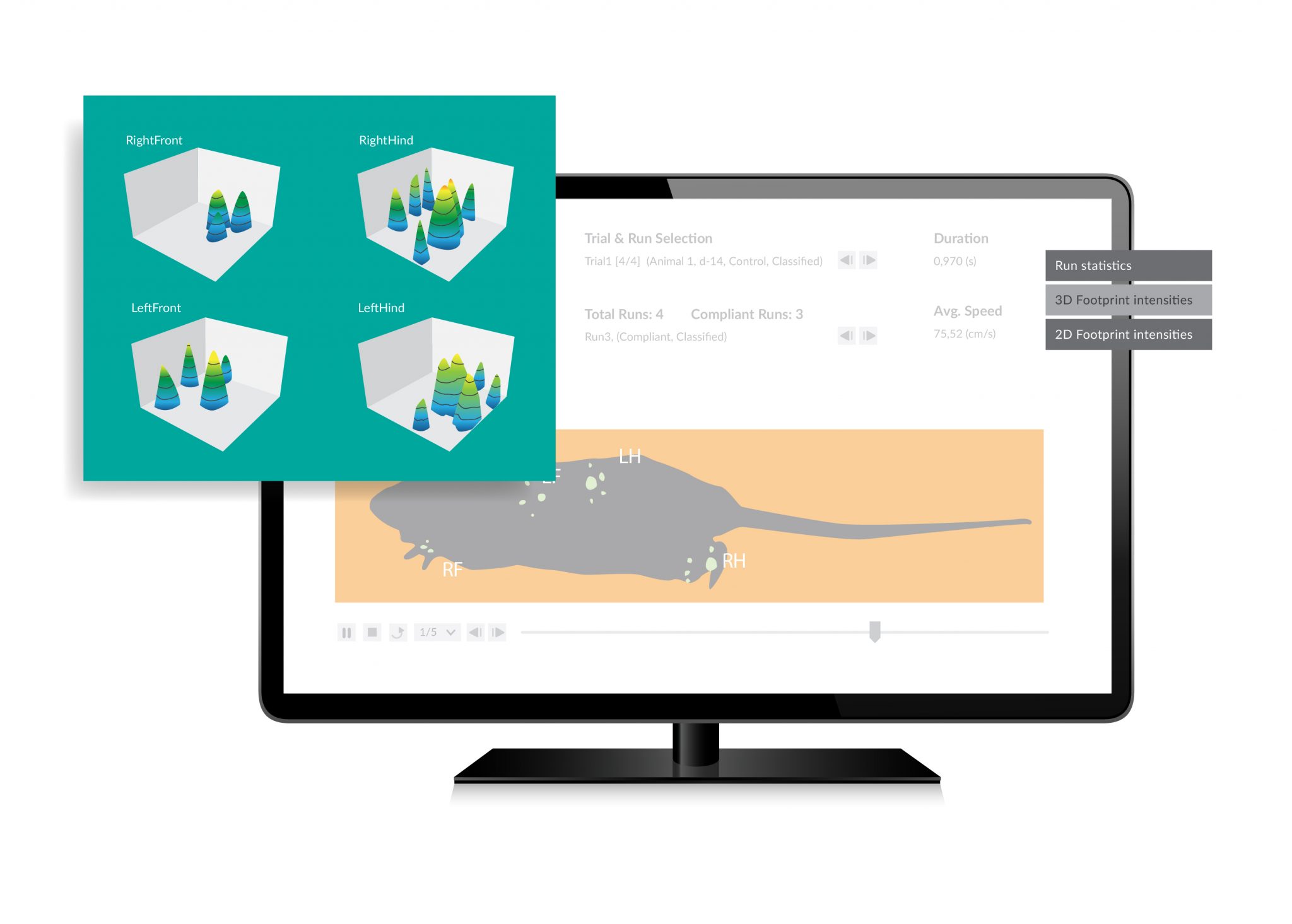 Free Demo -CatWalk XT – 诺达思