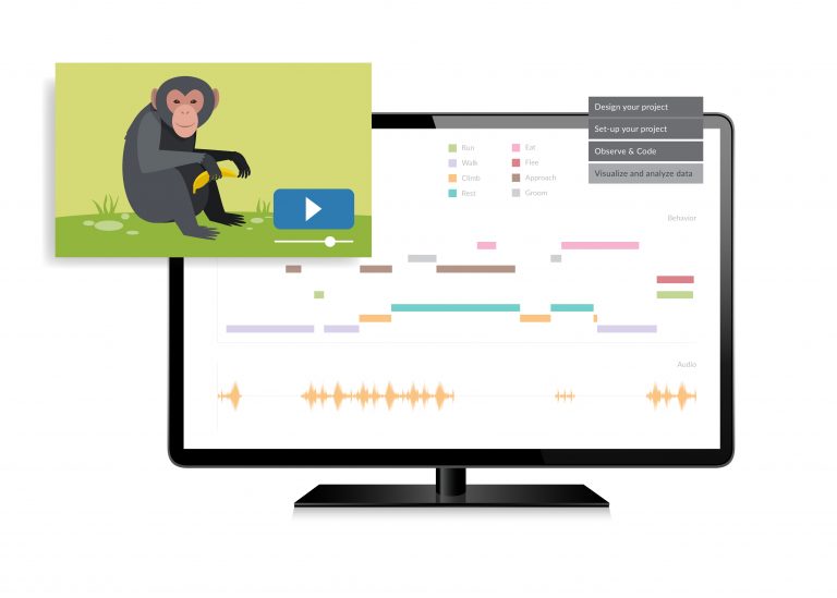 Free Demo – The Observer XT-animal – 诺达思