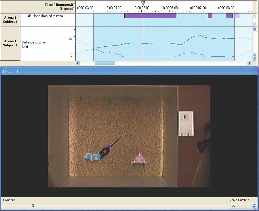  Novel Object Recognition 