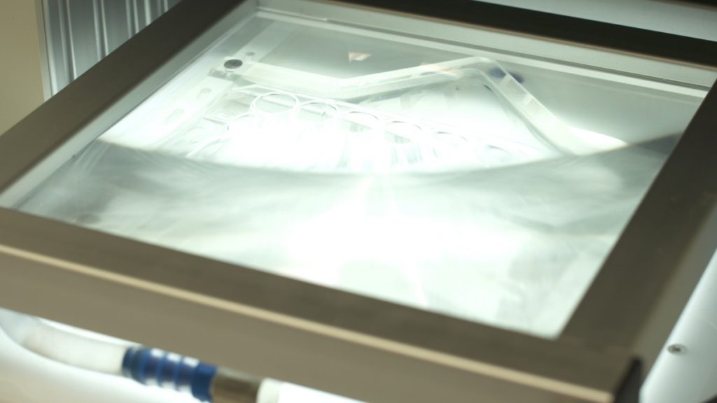 optogenetics-zebrafish – 诺达思