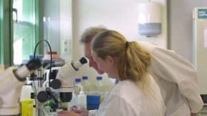 daniovision-add-ons – 诺达思