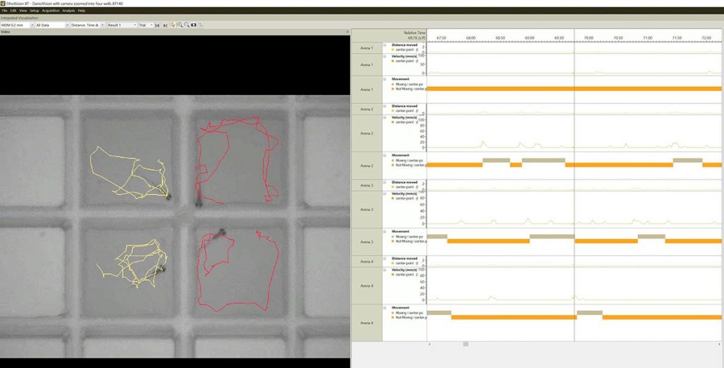 daniovision-ethovision-xt – 诺达思
