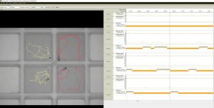 daniovision-ethovision-xt – 诺达思