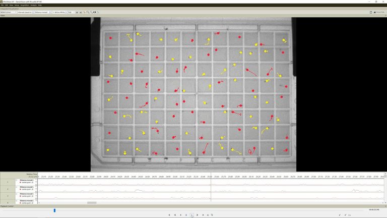 daniovision-ethovision-xt – 诺达思