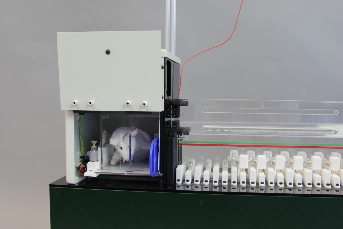 小鼠琴键式运动行为分析系统(ErasmusLadder) – 诺达思