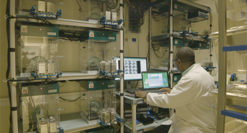 动物运动轨迹跟踪系统(EthoVision XT) – 诺达思