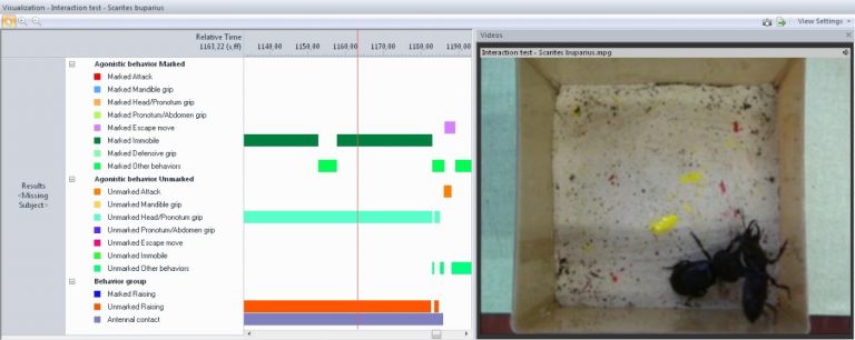 observer-xt-animal-set-up – 诺达思