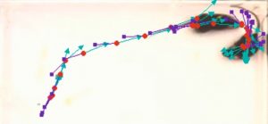 动物运动轨迹跟踪系统(EthoVision XT) – 诺达思