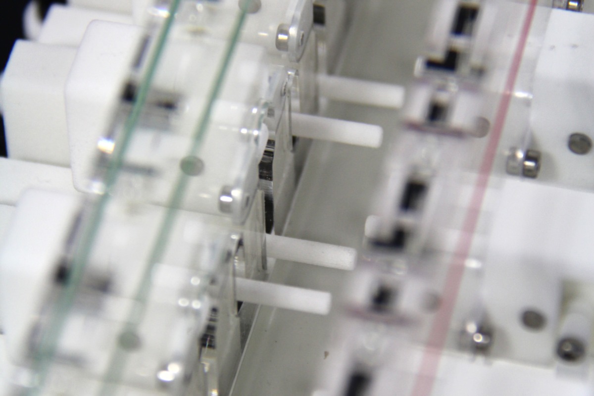 erasmusladder-testing-procedure – 诺达思