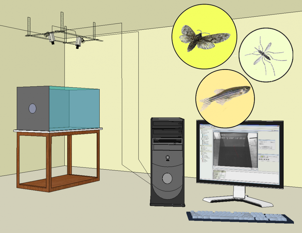 三维运动轨迹跟踪系统(Track3D) – 诺达思