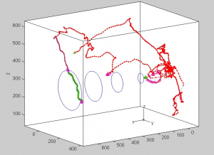 三维运动轨迹跟踪系统(Track3D) – 诺达思