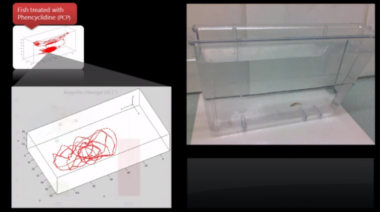 ethovision-xt-modules – 诺达思
