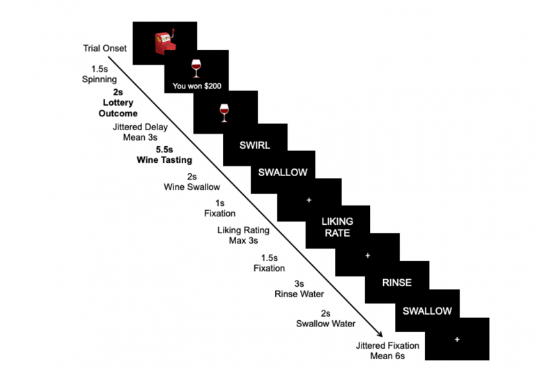 偶然情绪如何改变评价决策？ – 诺达思